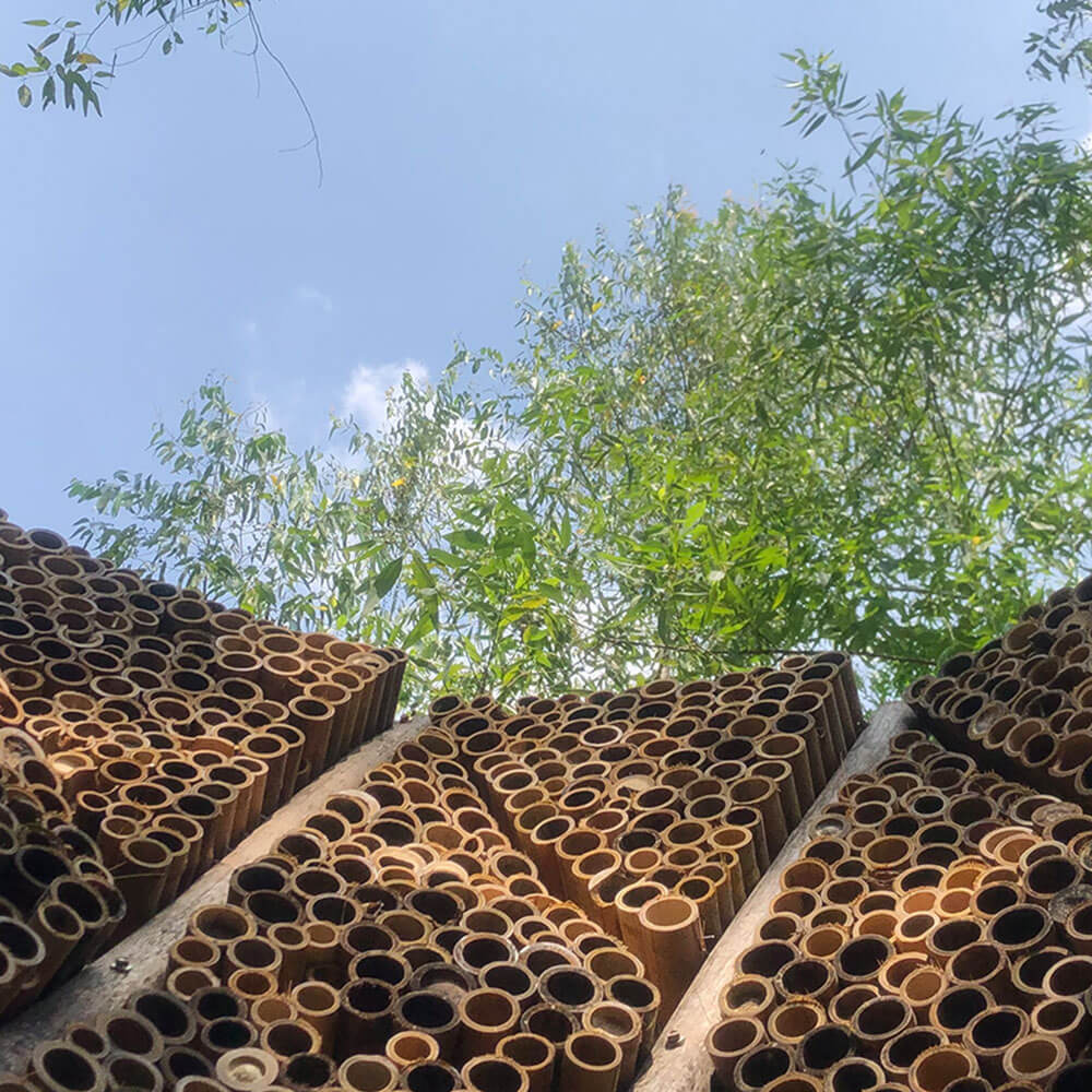 AREP - Architecture. Research. Post-Carbon Commitment.