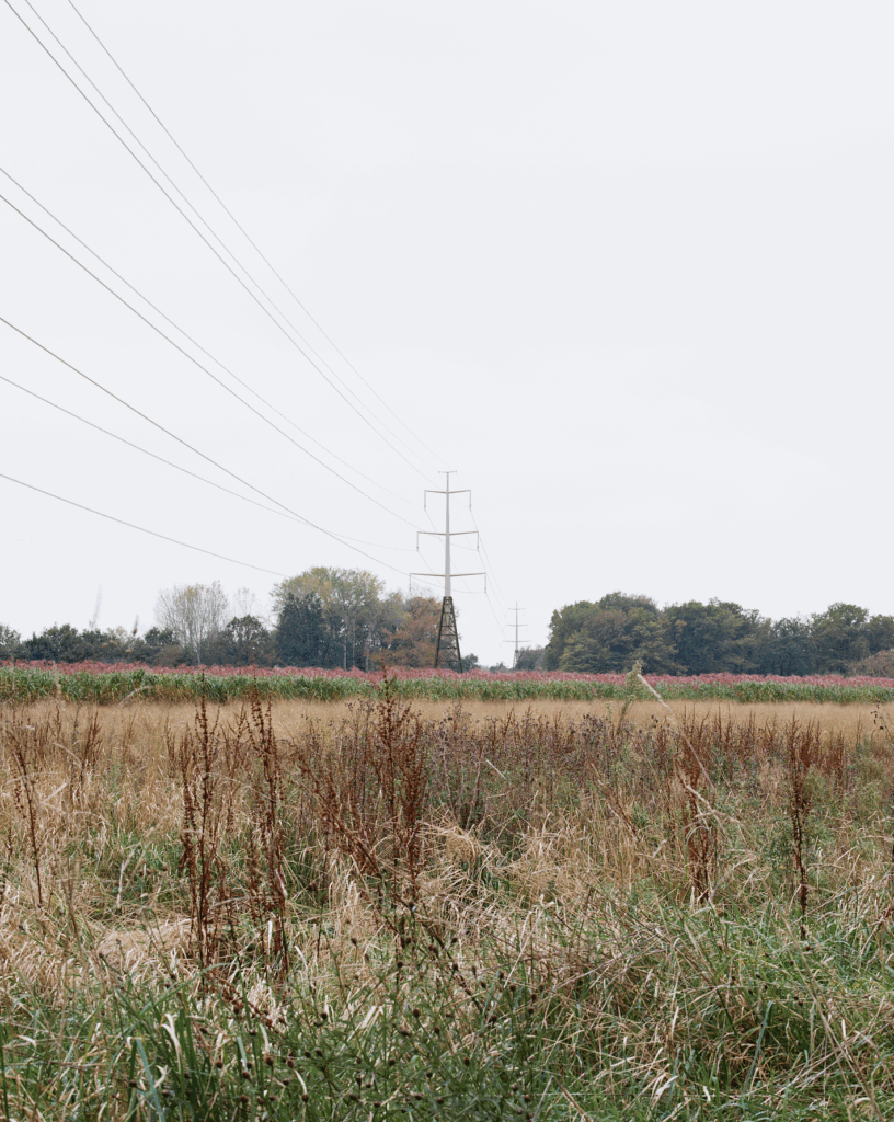 Pylons "transition" - AREP